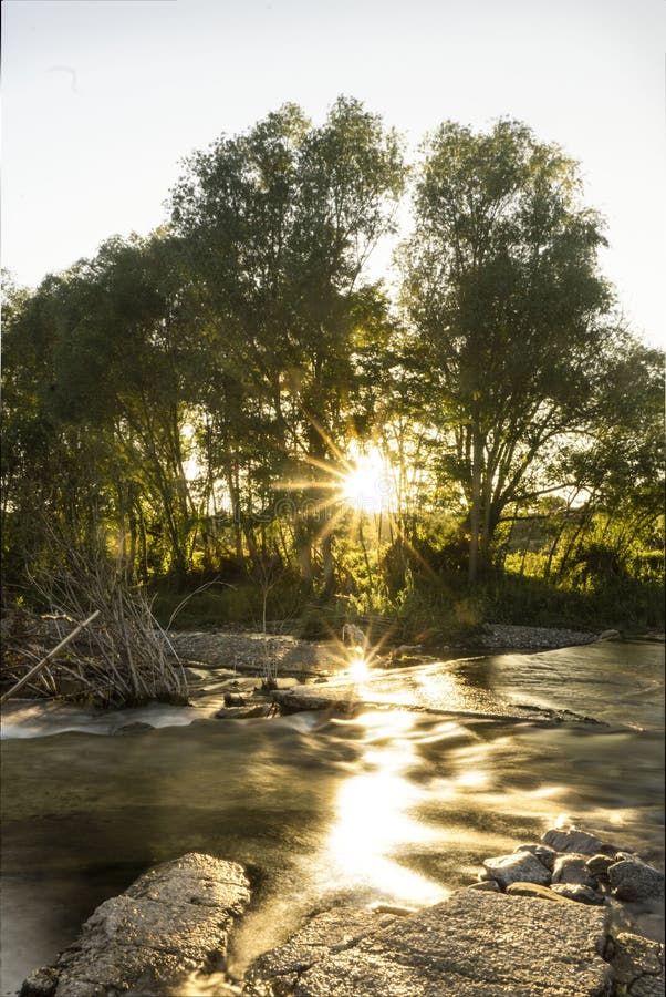 Foto Vertical De Um Rio Fluindo Sob As Luzes Do Sol Imagem de Stock ...
