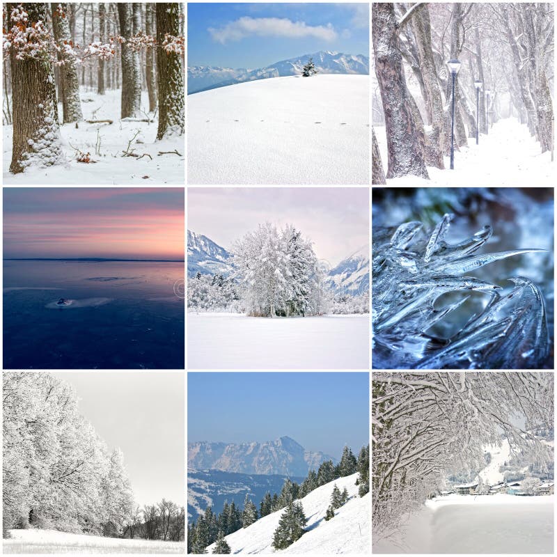 Fotocollage Van Koude De Winterdagen Stock Foto - Image of bevroren ...
