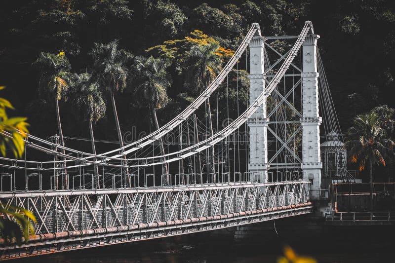 Imagem Visual Stock Photos - Free & Royalty-Free Stock Photos from ...