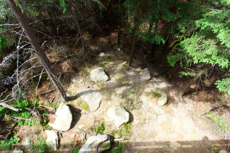 Fotografia Do Lugar Calmo Na Floresta Com Pedras Imagem de Stock ...