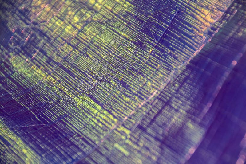 Fotografia Metallica Del Tessuto Del Tornasole Fotografia Stock ...