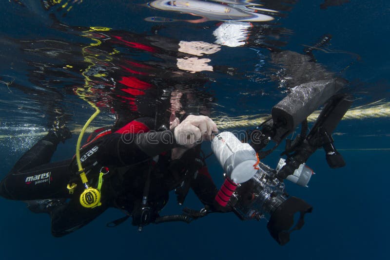 Fotografo Subacqueo Alla Superficie Dell'acqua Fotografia Editoriale ...
