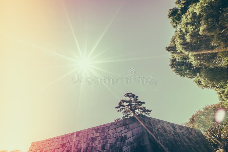 The Foundation of a Castle Tower of the Edo-jo Castle,Japan ( F Stock ...