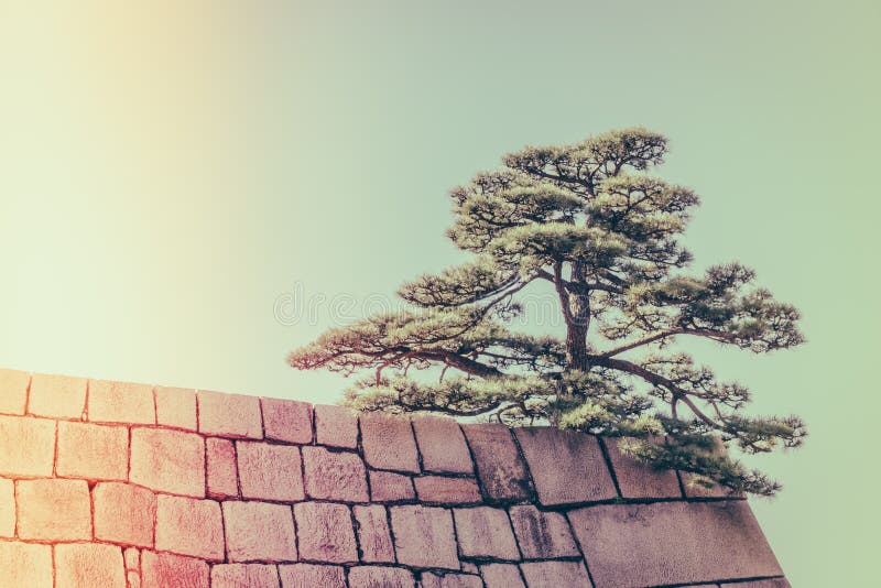 The Foundation of a Castle Tower of the Edo-jo Castle,Japan ( F Stock ...