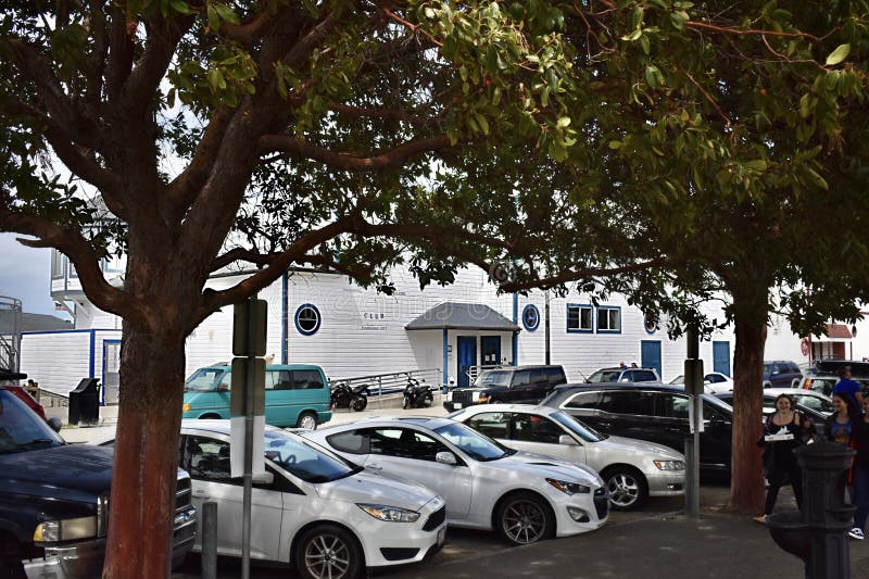 San Francisco`s Historic Dolphin Club 2 Editorial Photography - Image ...