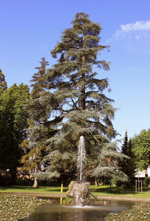 Fountain stock image. Image of town, basin, sheets, garden - 30386067