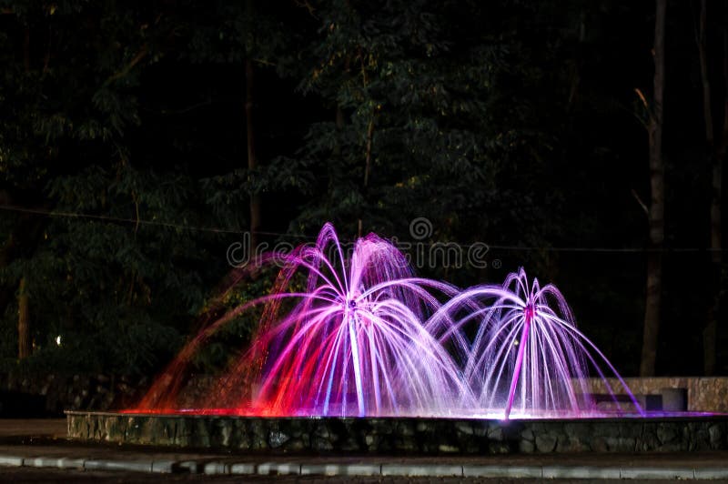 Beautiful Backlight Litm Stock Photos - Free & Royalty-Free Stock ...