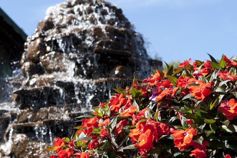 Fountain with Beautiful Flowers Stock Image - Image of flowing, bush ...