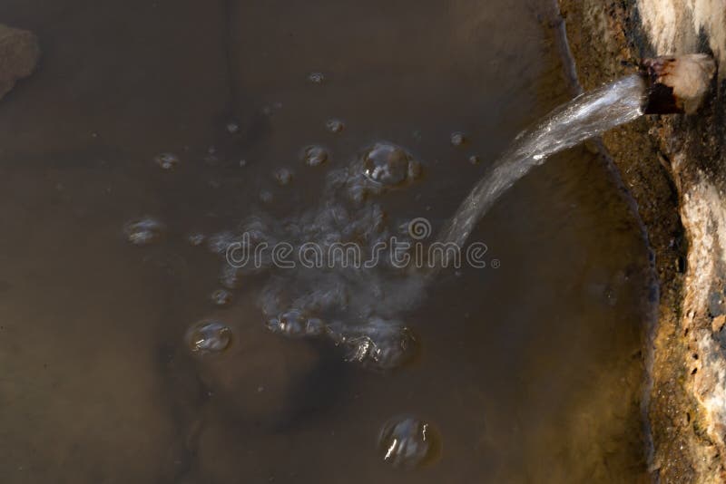 Fountain, Cattle Watering Place in the Forest Stock Photo - Image of ...