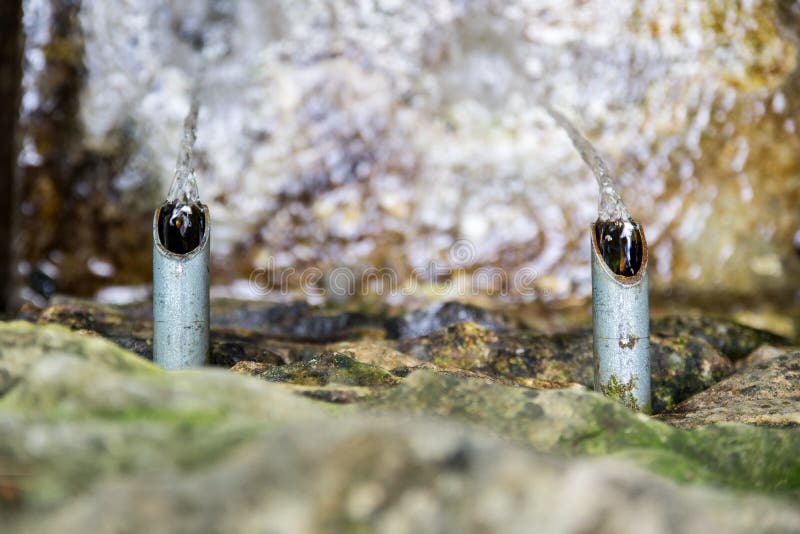 Fountain in Forest stock image. Image of fountaininnature - 98317209