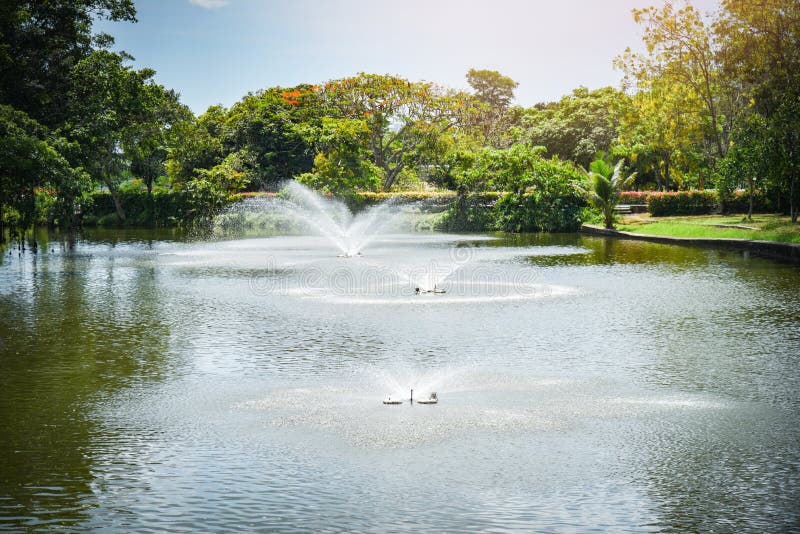 Fountain Garden in the Water Pond Green Park Stock Image - Image of ...