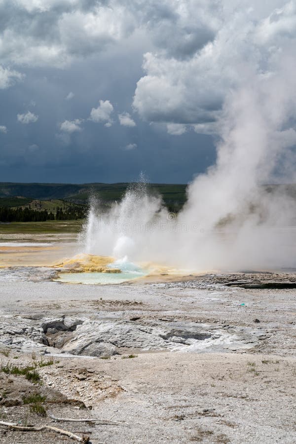 The Fountain Geyser Erupts in Yellowstone National Park Editorial ...
