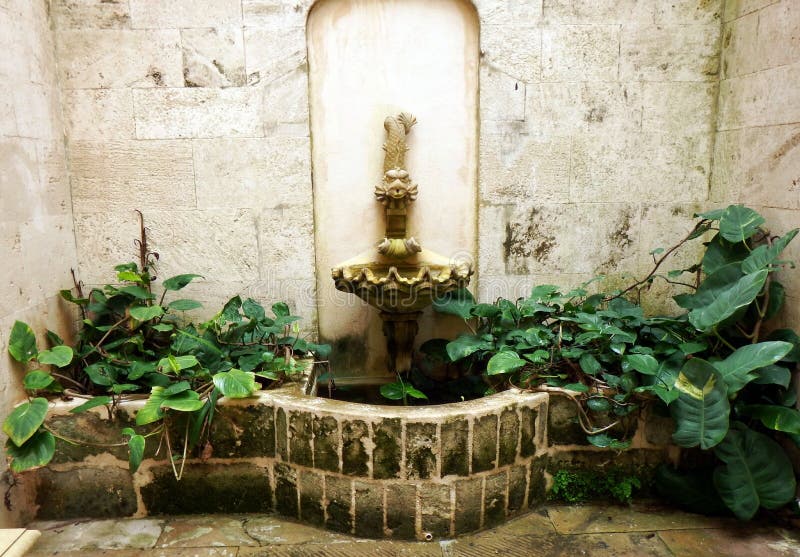 Fountain with greenery stock image. Image of greenary - 123690447