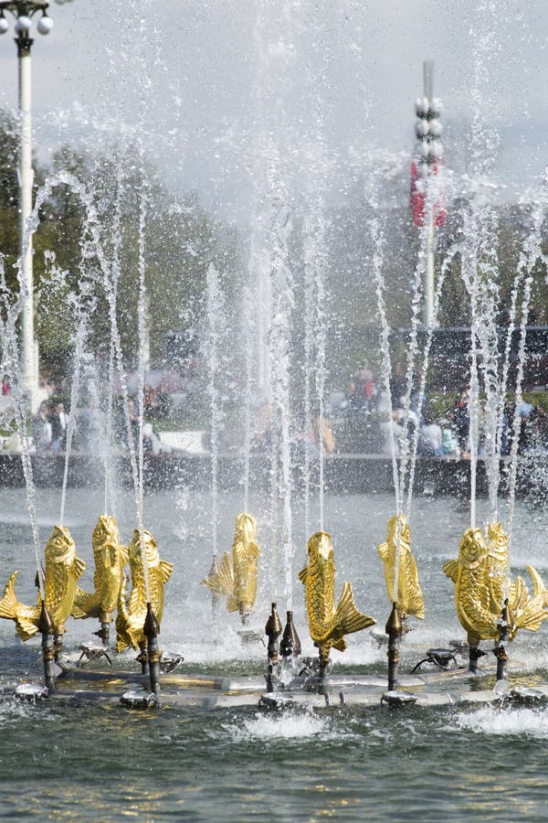 The fountain jets spray stock photo. Image of texture - 146856412