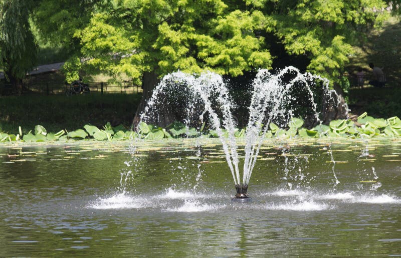 Fountain in lake stock image. Image of lily, torrid, splash - 41389685