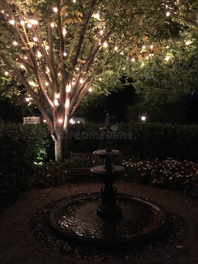 Fountain and lighted tree editorial image. Image of classy - 124708665