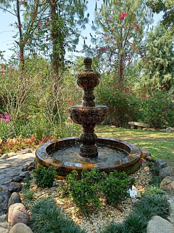 Fountain Nature Pure Joy Plant Stock Image - Image of fountain, nature ...