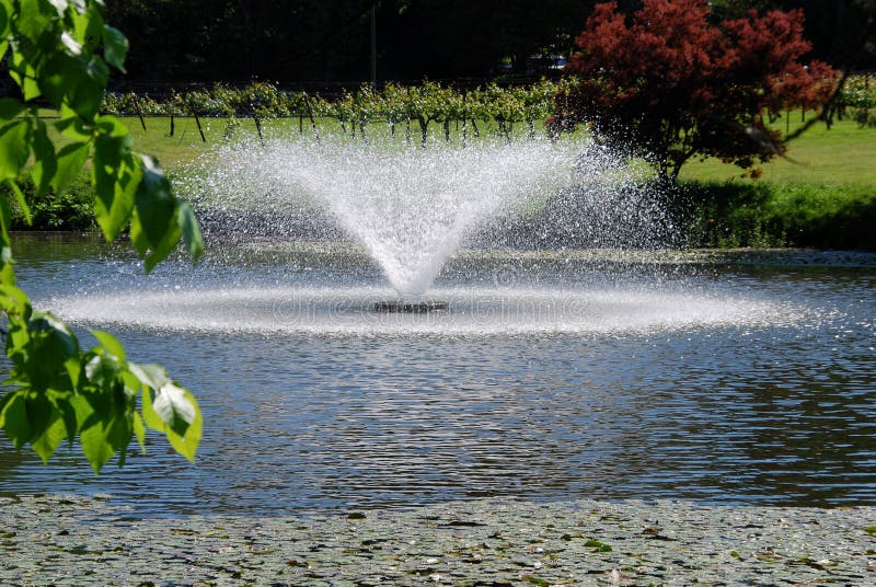 Fountain pond stock image. Image of decoration, reflection - 5753179