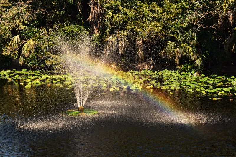 Fountain with rainbow stock photo. Image of cheerful - 239445694