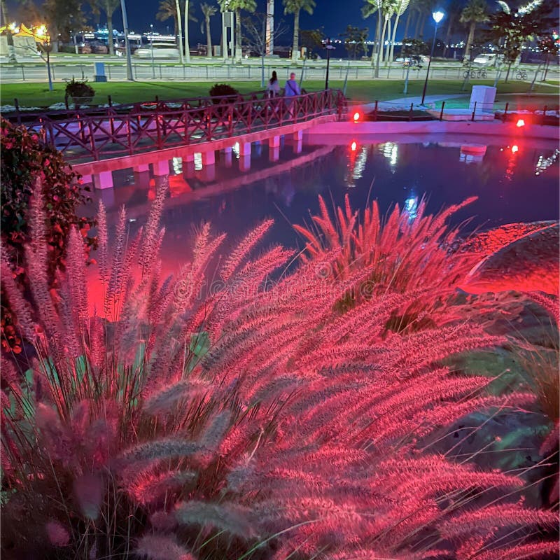 Fountain with Red Lighting Near the Corniche in Doha Stock Photo ...