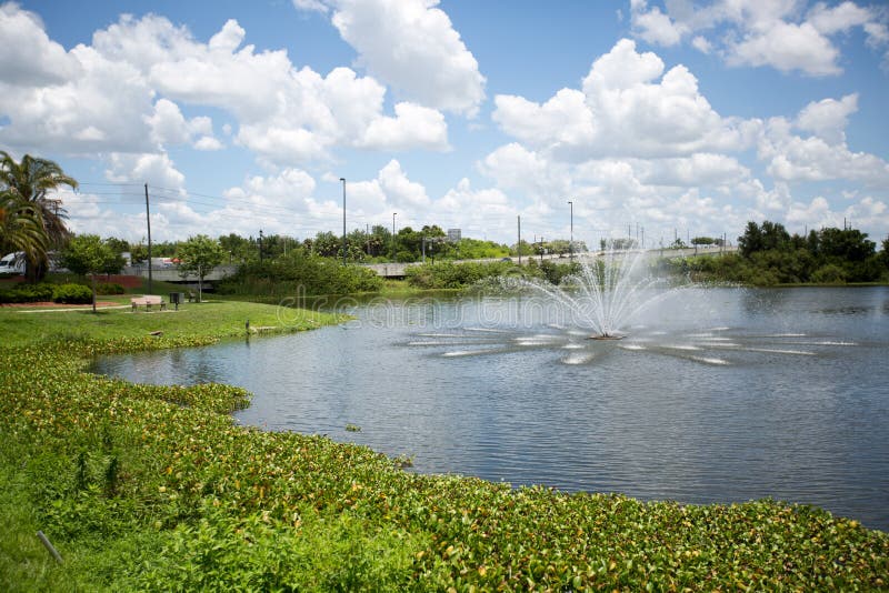 Fountain in a Small Pond or Lake in Florida with Tranquil Landscaping ...