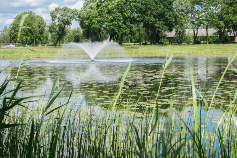 Fountain with Splashing Water in a Pond with Green Trees and Grass ...