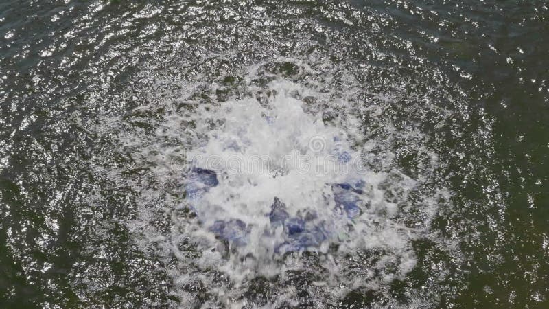 Fountain Spouting Out of the Ground Water Flow Stock Footage - Video of ...