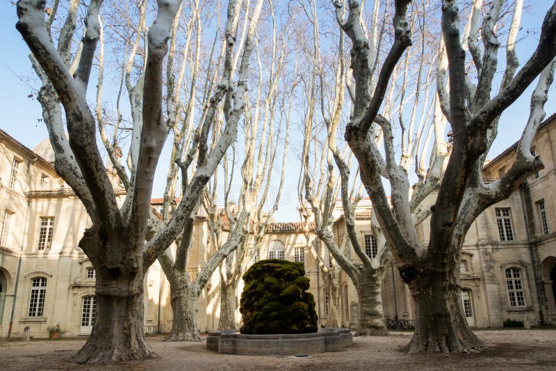 Fountain among the trees. stock photo. Image of tourism - 115898890
