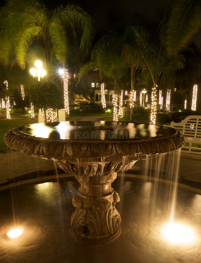 Fountain and Trees in Resort after Dark Stock Photo - Image of carve ...