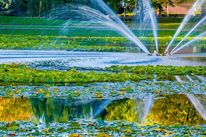 Fountain Water Jets and Splashes in Lake at Park Stock Image - Image of ...