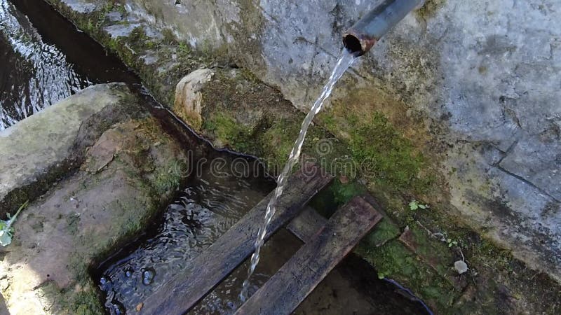 Fountain Water Source Spring in the Forest. Natural Spring Water Stock ...