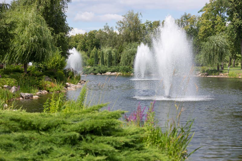Fountains on Pond at Park at Bright Sunny Day Stock Photo - Image of ...