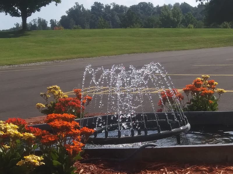 SOMETHING Quaint stock image. Image of constant, life - 131278135