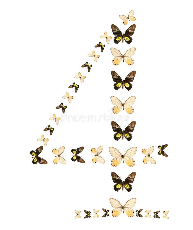 Four Butterfly Stock Illustrations – 2,118 Four Butterfly Stock ...
