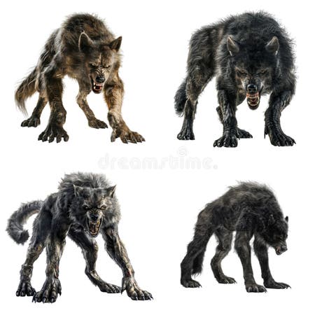 Four Aggressive Werewolves in Different Poses Stock Image ...
