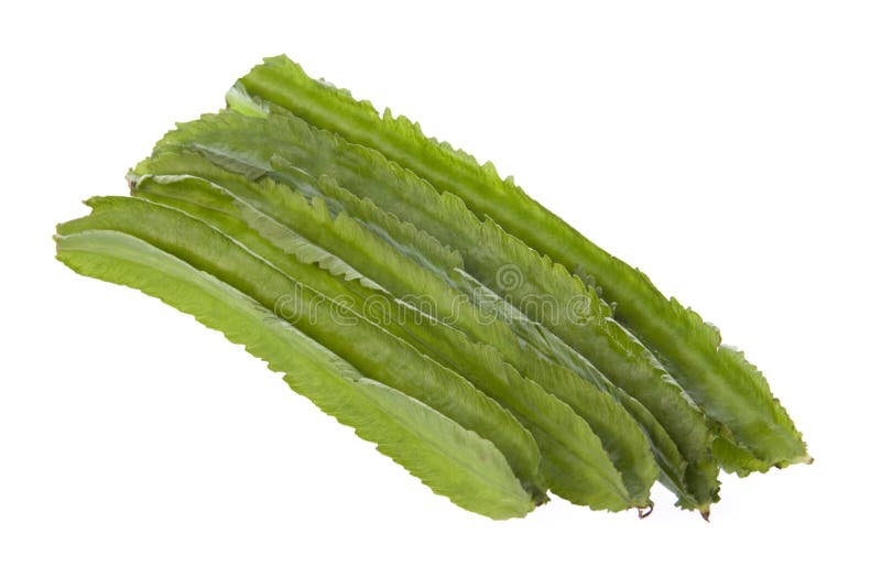 Four Angled Beans stock photo. Image of four, veggies - 6021568