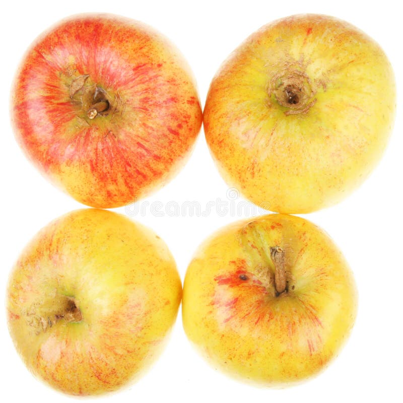 Four apples stock image. Image of blemish, four, apple - 11092095