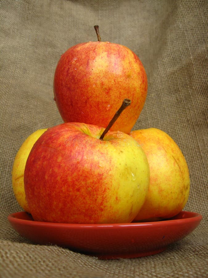 Four Apples on a Plate stock image. Image of diet, beauty - 34253245