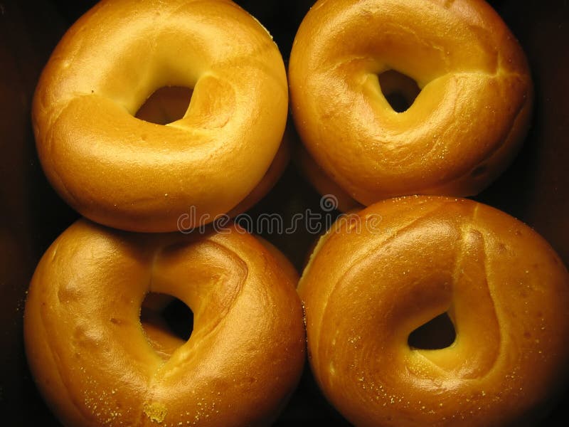 Four bagels stock photo. Image of looking, four, round - 103741646