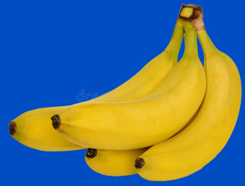 Four Bananas