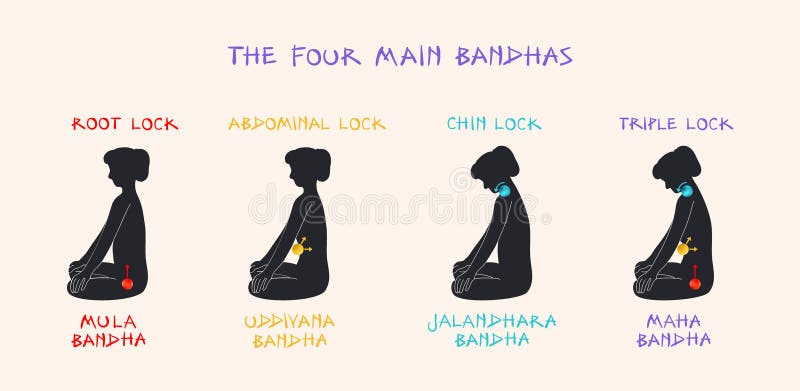 The Four Bandhas Vector Infographic Stock Vector - Illustration of ...