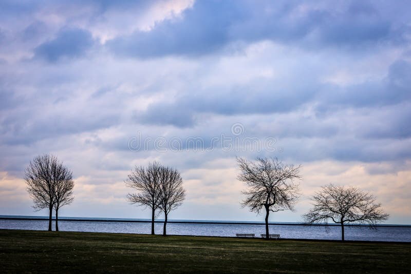 Four Bare Trees Against Ominous Sky Stock Photos - Free & Royalty-Free ...