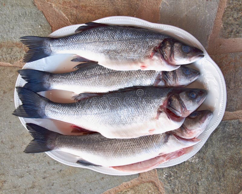 Four Bass Fish Ready To Cook Stock Photo - Image of healthy, seafood ...