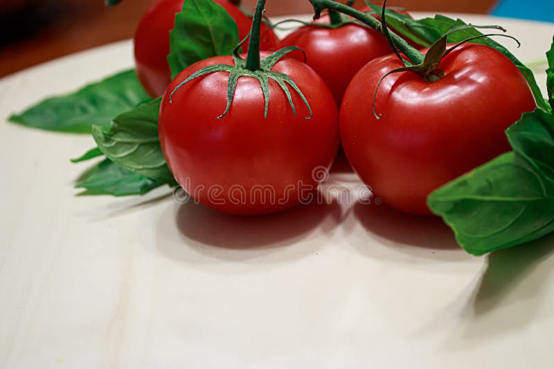 Four Big Dark Red Tomatoes on a Vine on a Light Wooden Table Stock ...
