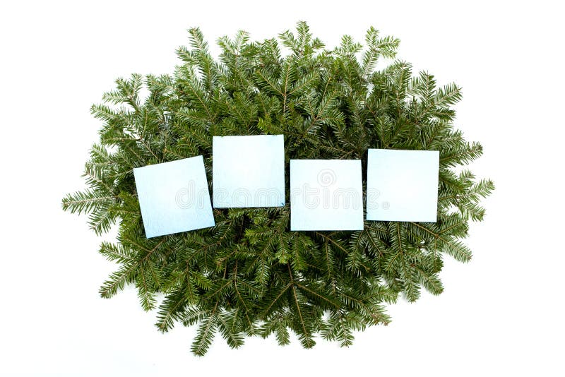 Four Blank Notes Over Pine Tree Twigs. Stock Photo - Image of card ...