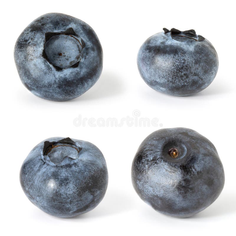 One Blueberry Close-up on a White Background. Full Depth of Field. with ...