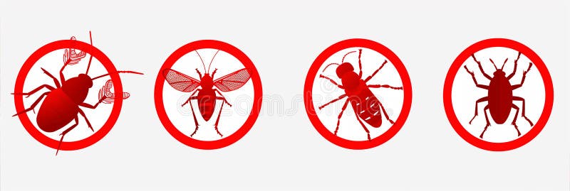 Group of Four Bugs Sitting Together Stock Illustration - Illustration ...