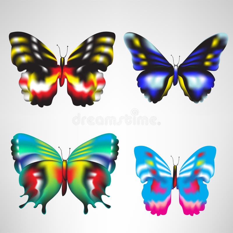 Four butterflies stock vector. Illustration of beauty - 21542538