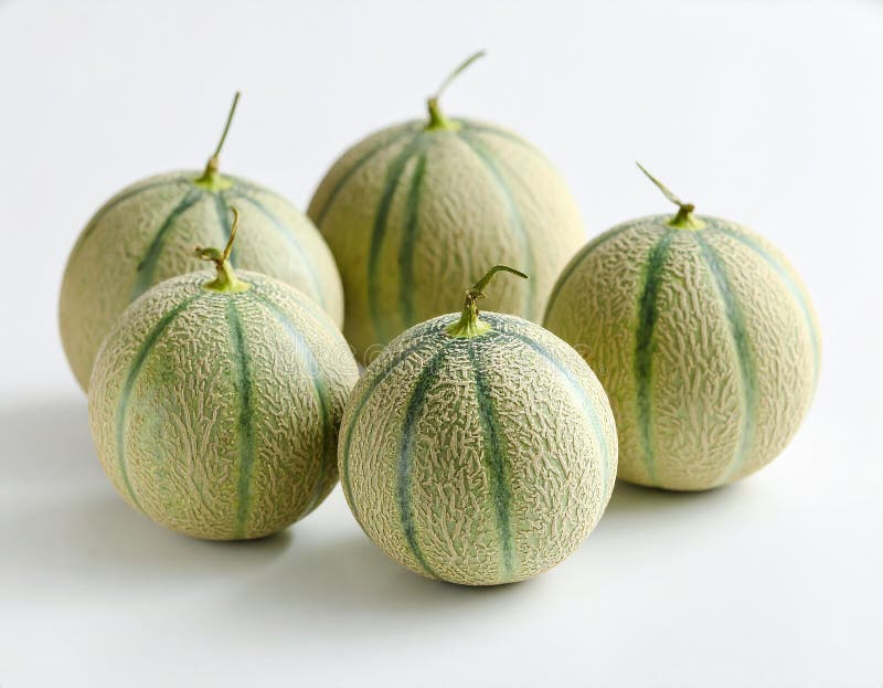 Mature Melons Isolated on White. Stock Illustration - Illustration of ...