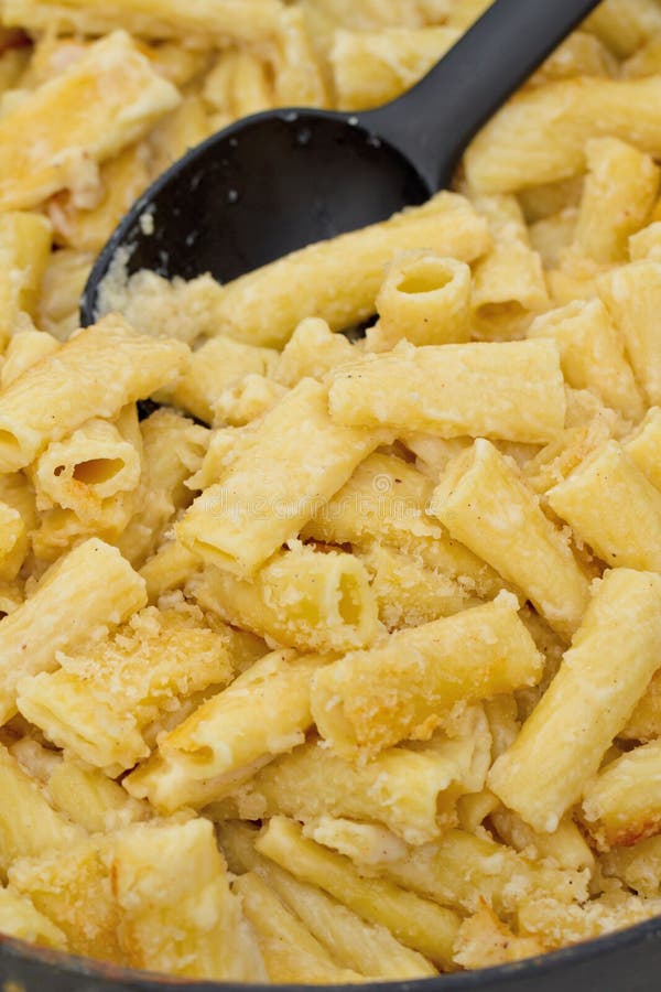 Four cheese rigatoni bake stock photo. Image of fresh - 23999964